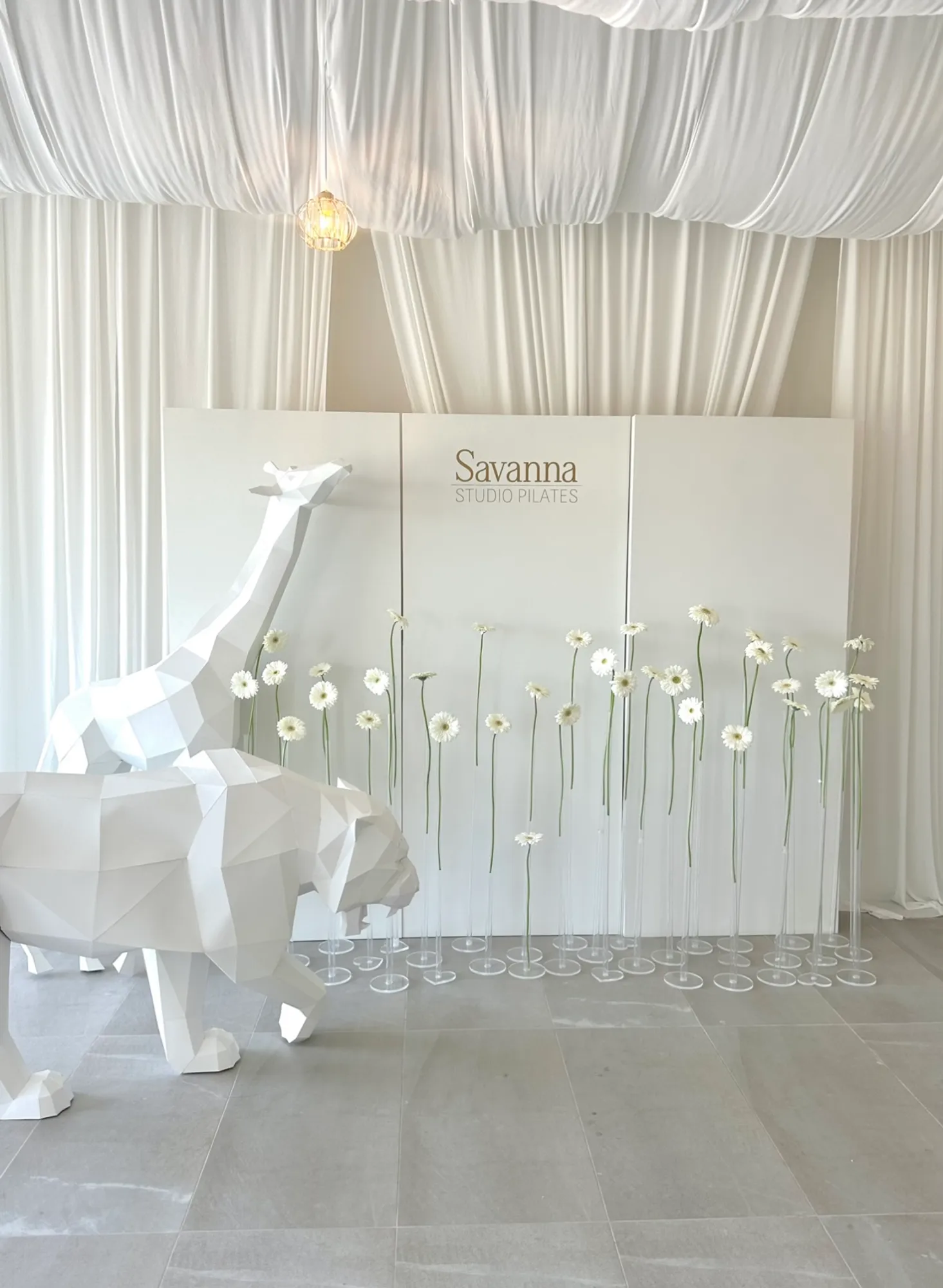 Savanna Studio Boutique - Nessty